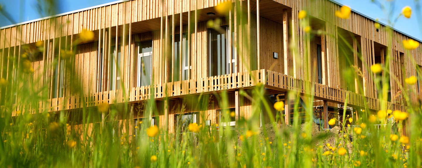 Biobased bouwen met vezelrijke teelten