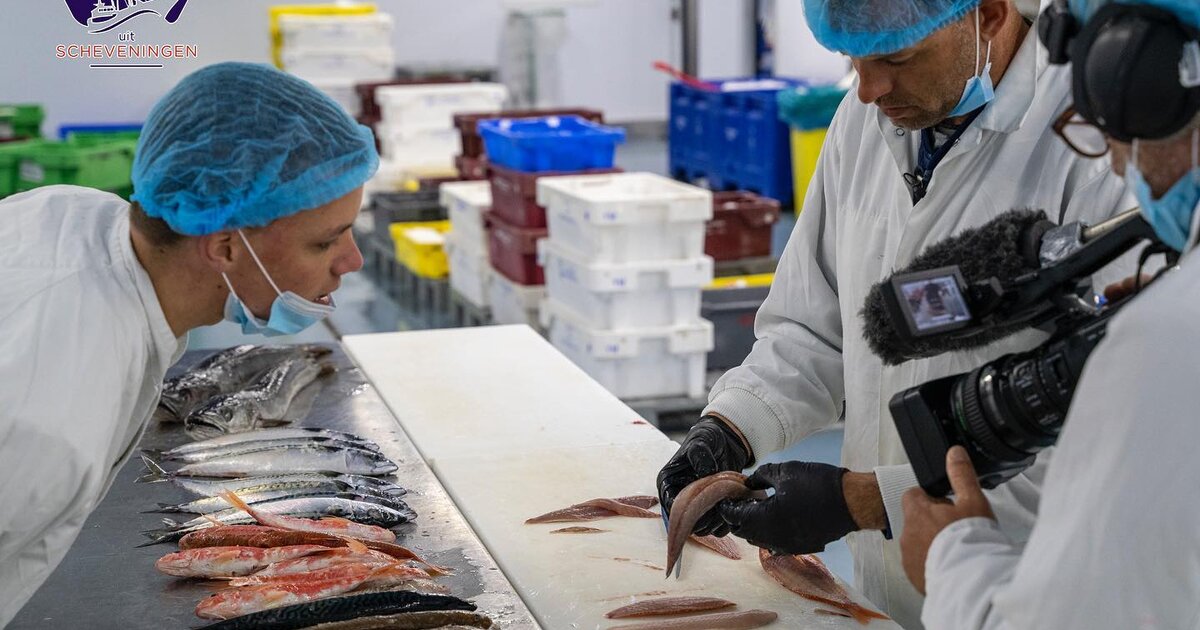 Documentaire: Lokale vis met Scheveningse jongeren
