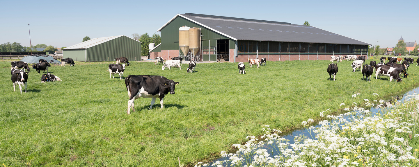 De veehouderij verder verduurzamen