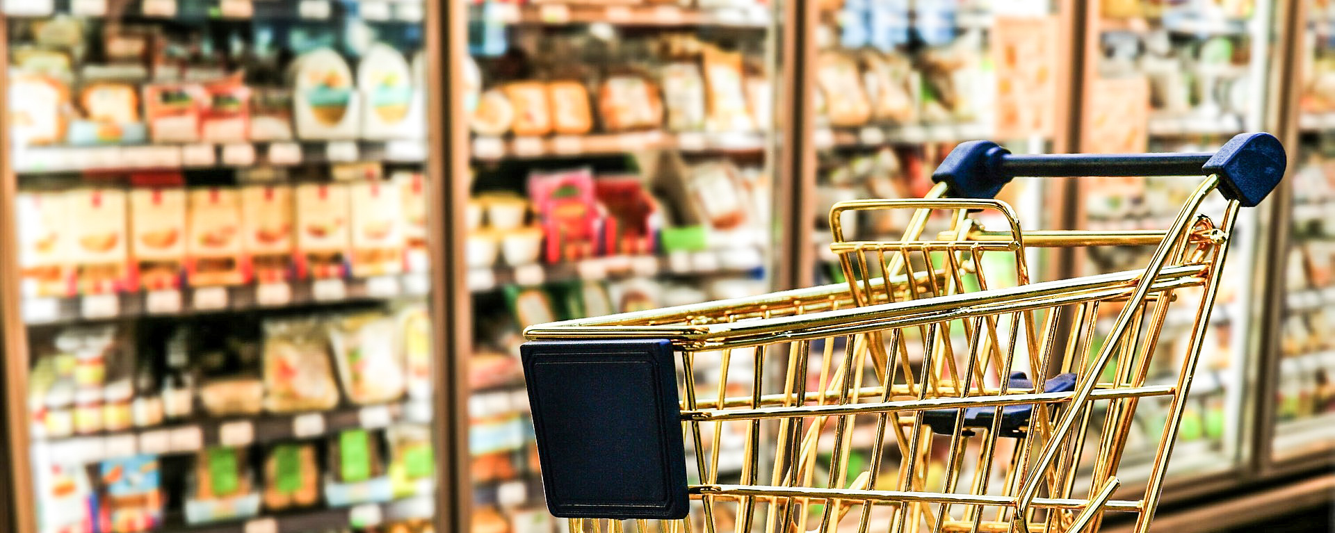 Het versnellen van een toekomstbestendig voedselsysteem